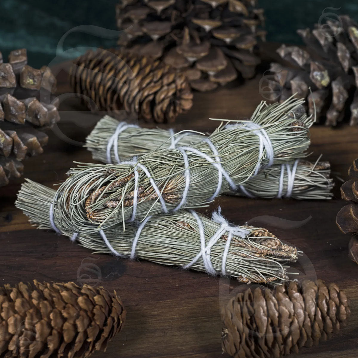Pine Bundle, Wildcrafted – Sage Den